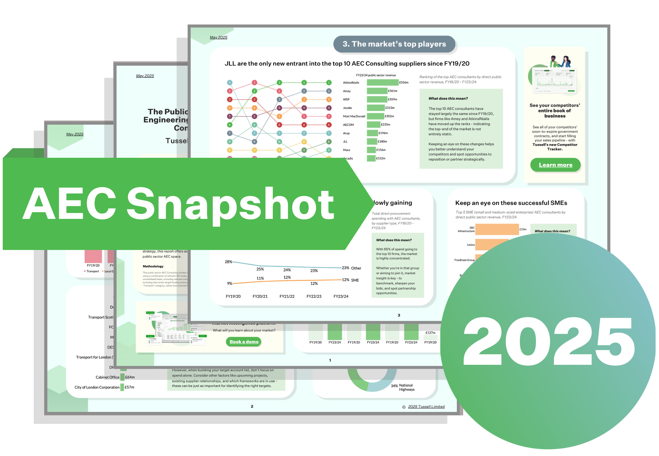 Architecture, Engineering & Construction (AEC) Consultancy Snapshot 2025